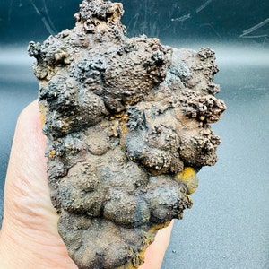 Amazing 'golden Hematite' Specimen Showing Sculptural Botryoidal Forms ...