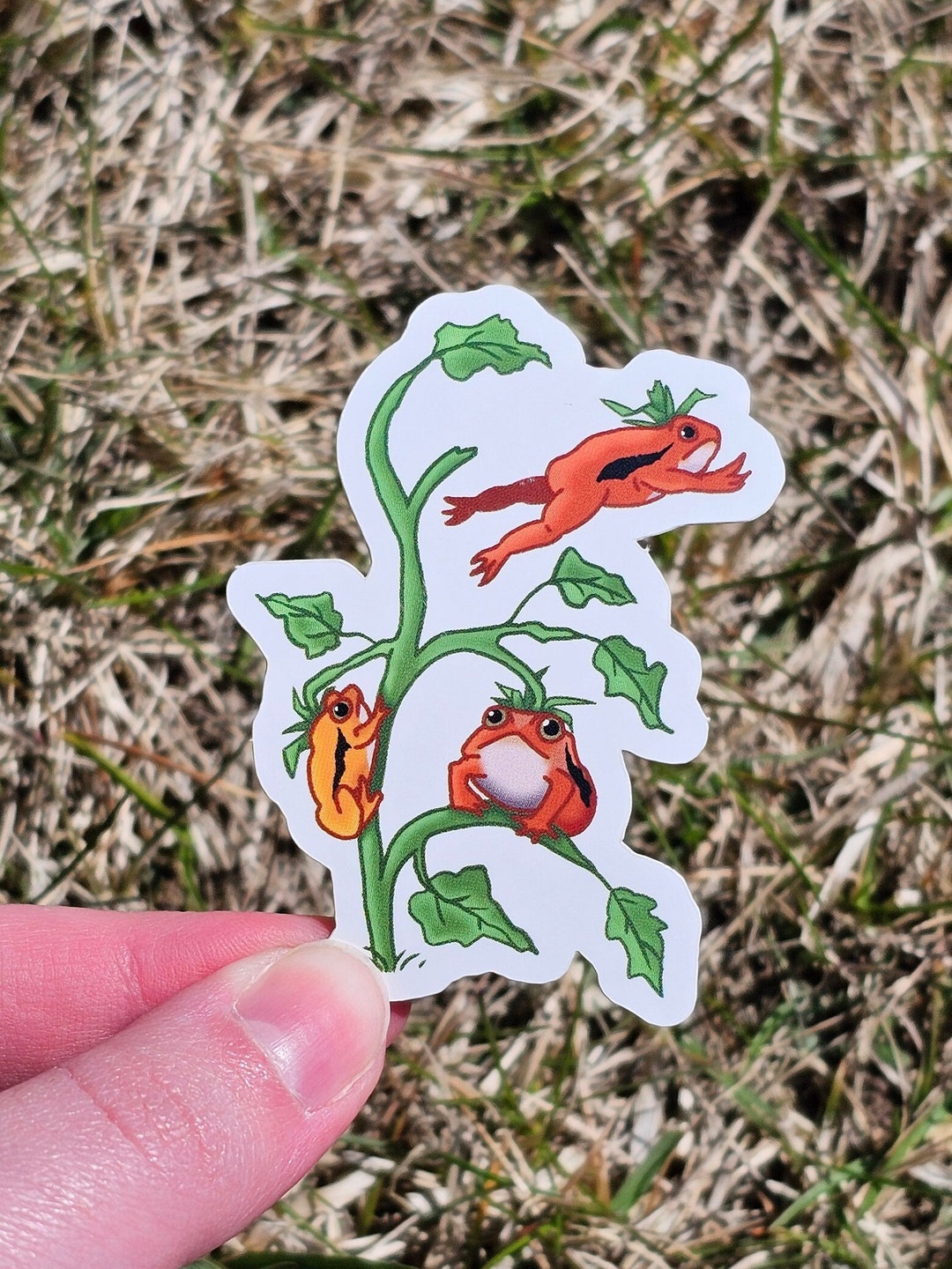 Tomato Frogs Sticker - Etsy