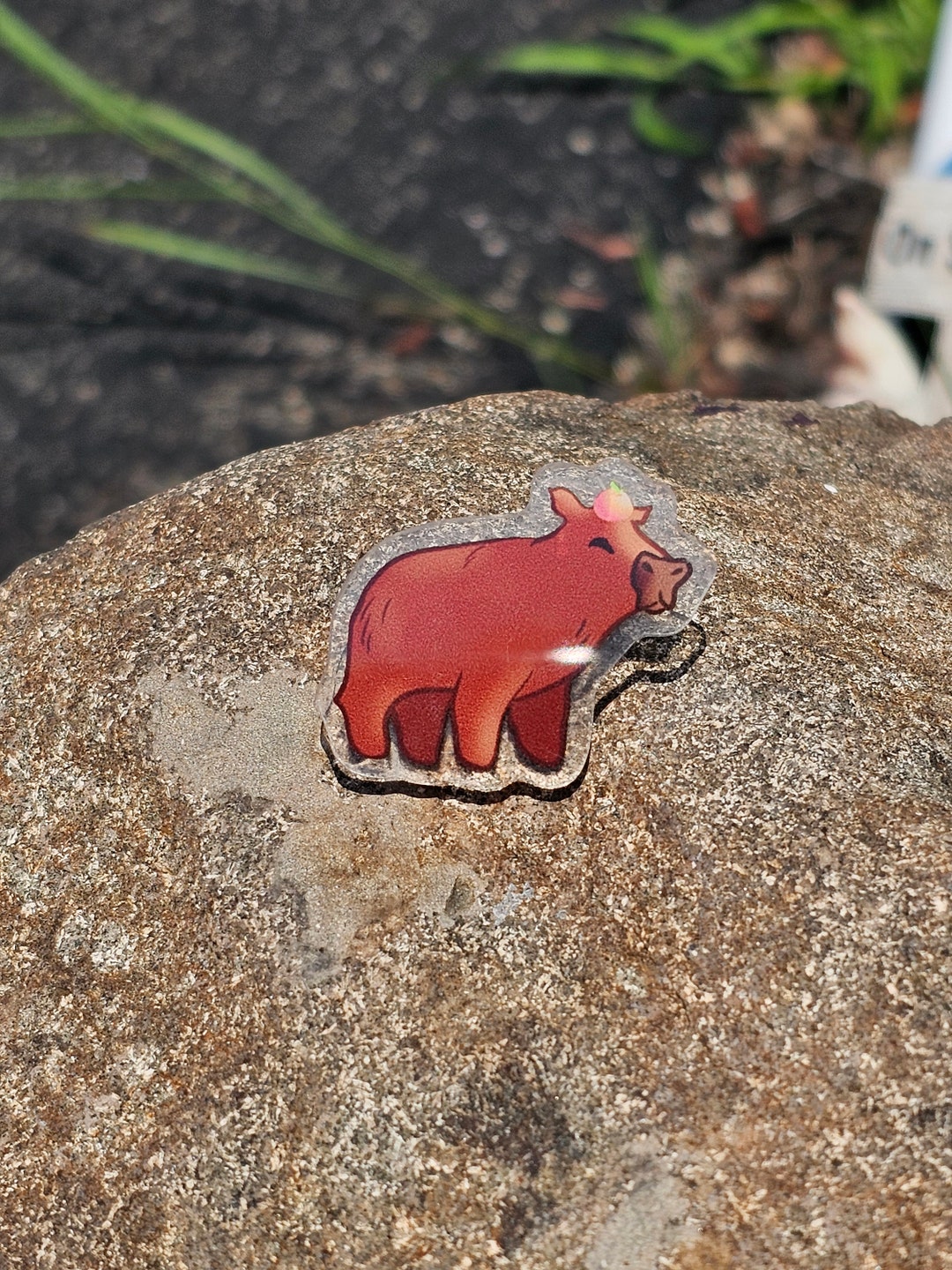 Capybara Acrylic Pin - 2" Animal Art - Etsy