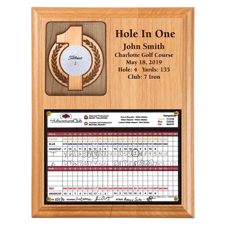 Golf Hole in One Wall Mounted Plaque | Display Your Golf Ball and ...