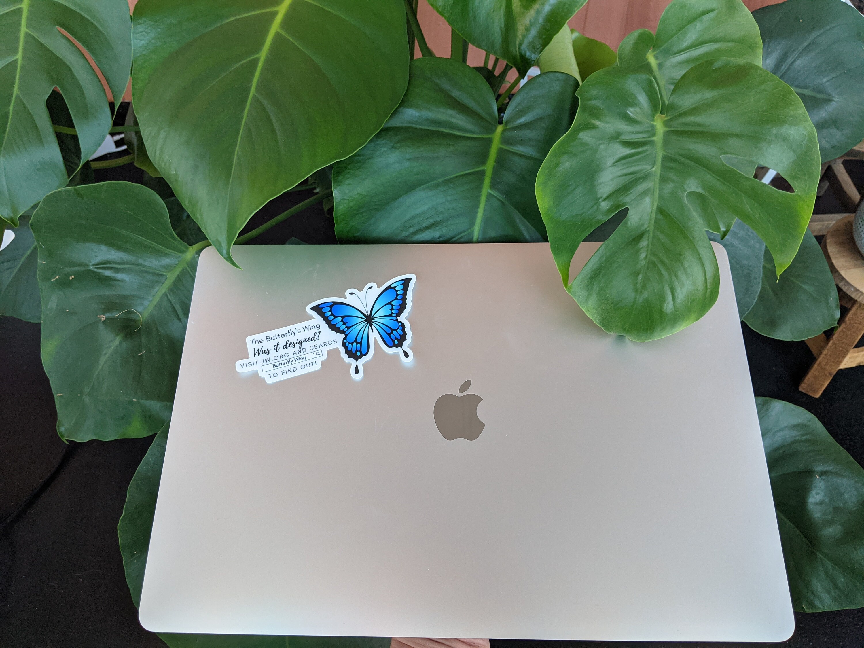 JW was It Designed Butterfly Wing . Sticker . JW - Etsy