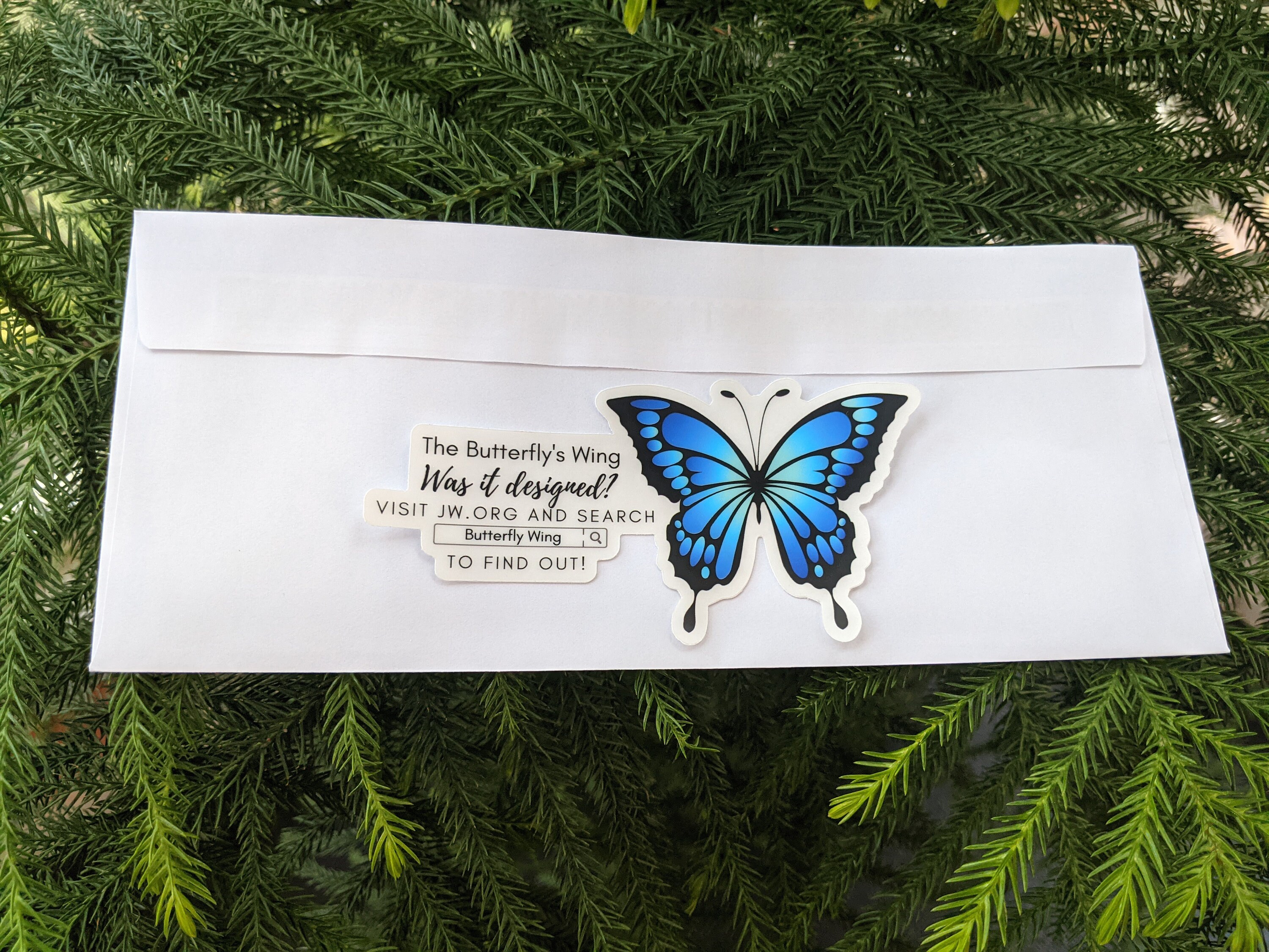 JW was It Designed Butterfly Wing . Sticker . JW | Etsy