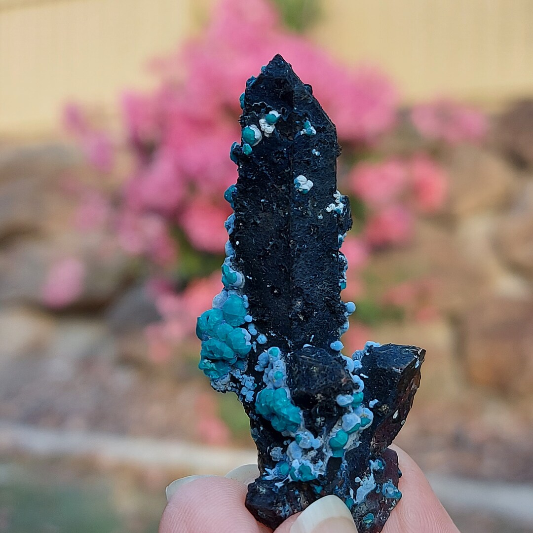 Stunning Jet Black Tenorite With Botryoidal Chrysocolla on Tentadora ...