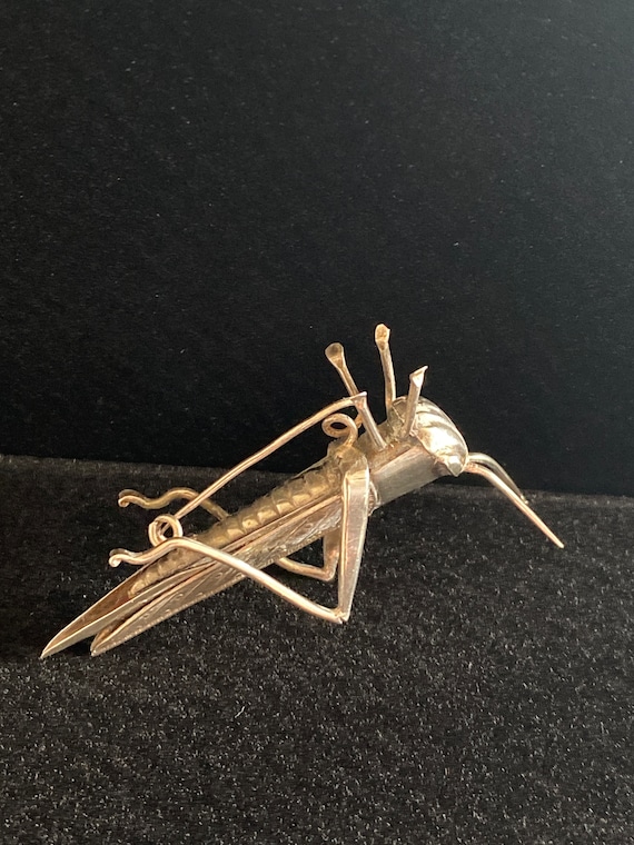 Handmade Artisan Sterling Silver Cricket Lotus Brooch… - Gem