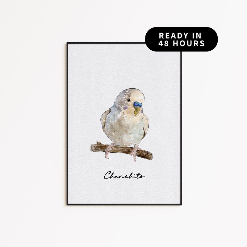 Bird Portrait Hand Drawn - Etsy