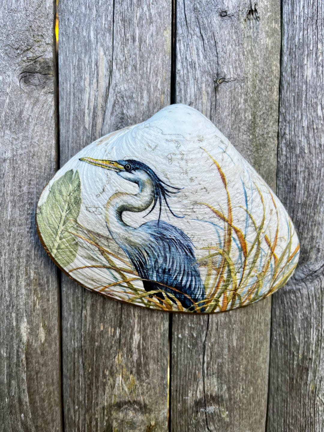 Great Blue Heron Cape Cod Sea Scallop Decoration - Etsy