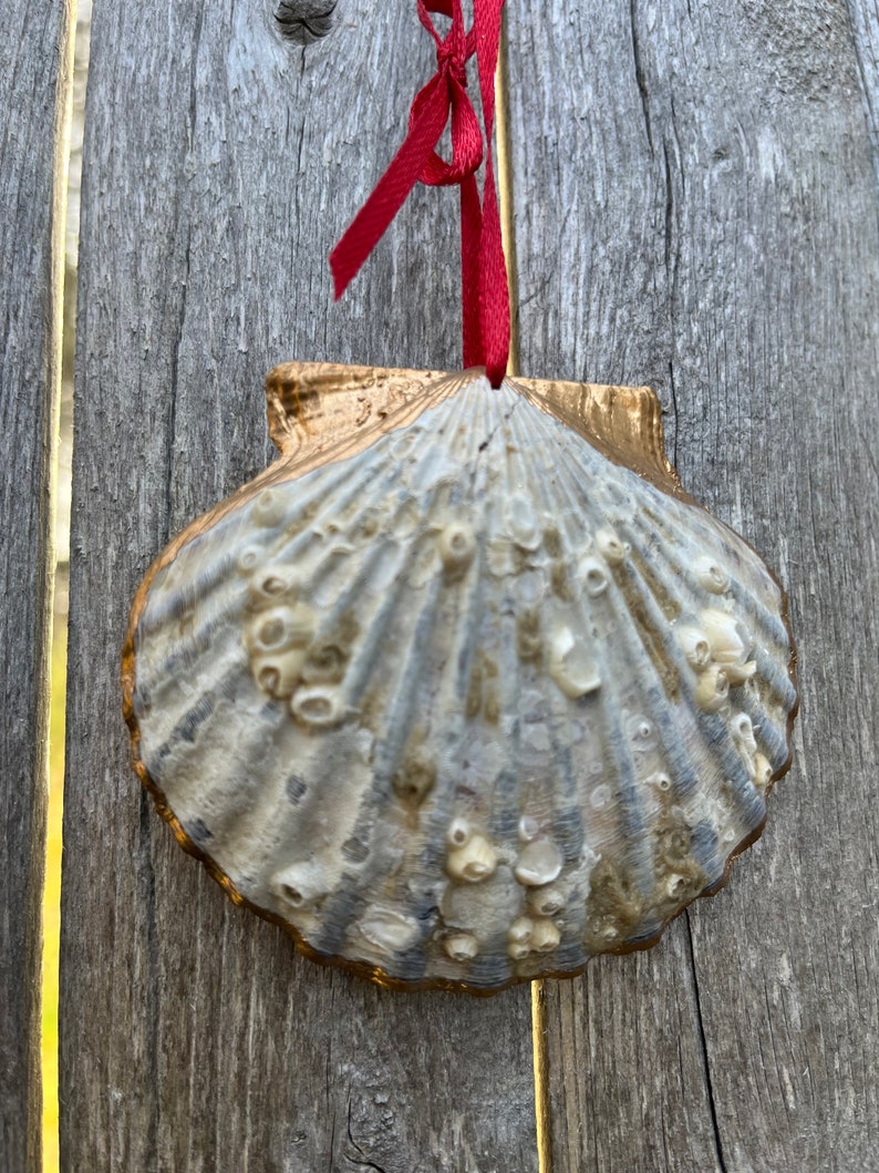 Blue Floral Cape Cod Bay Scallop Shell - Etsy