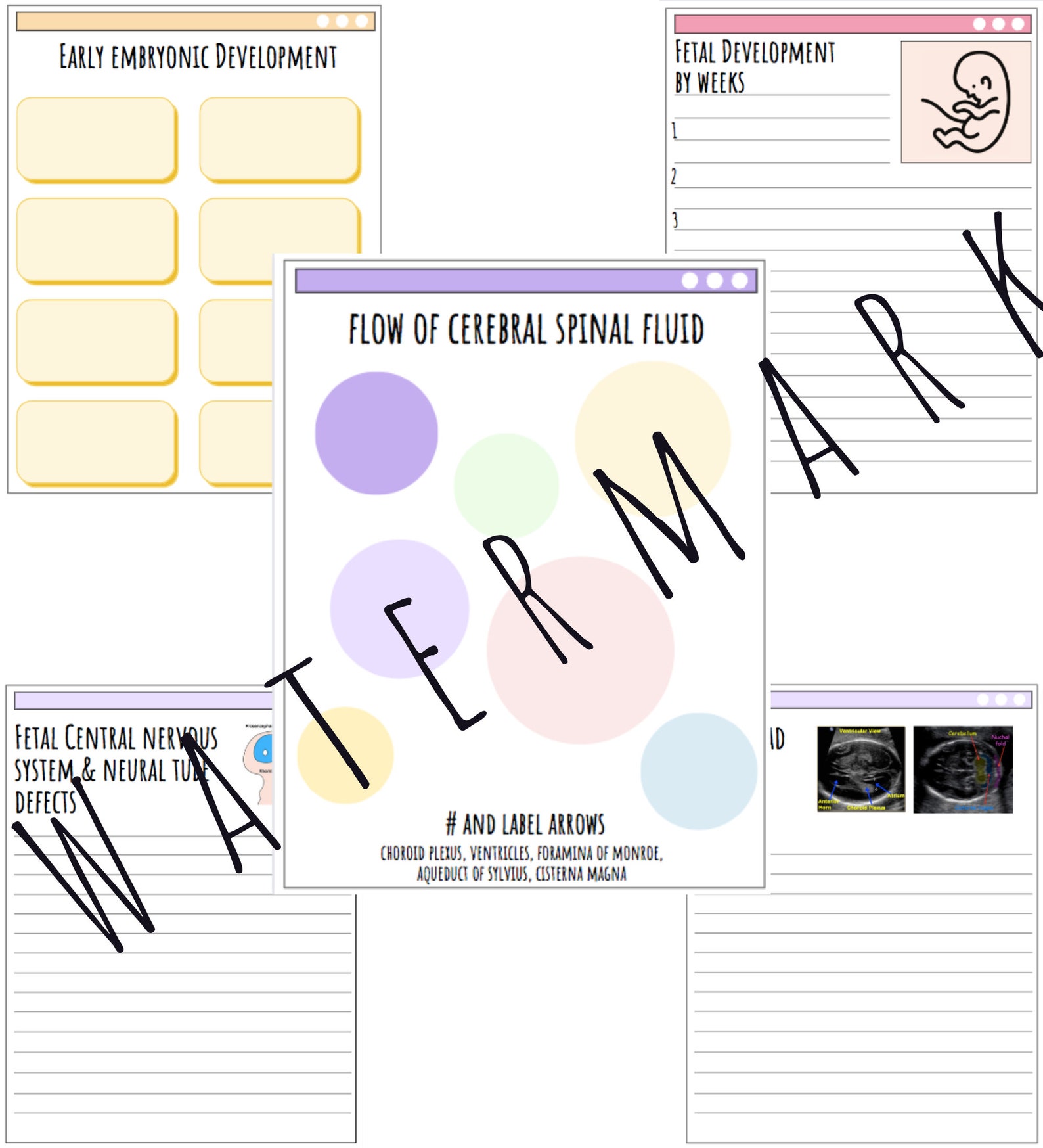 OBGYN Note-taking Templates - Etsy