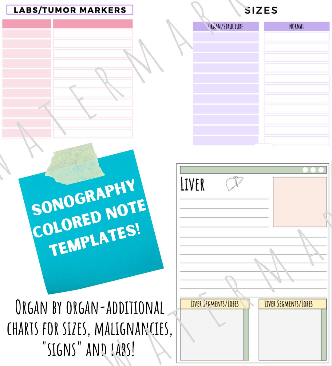 Abdomen/small Parts Sonography Note Templates - Etsy