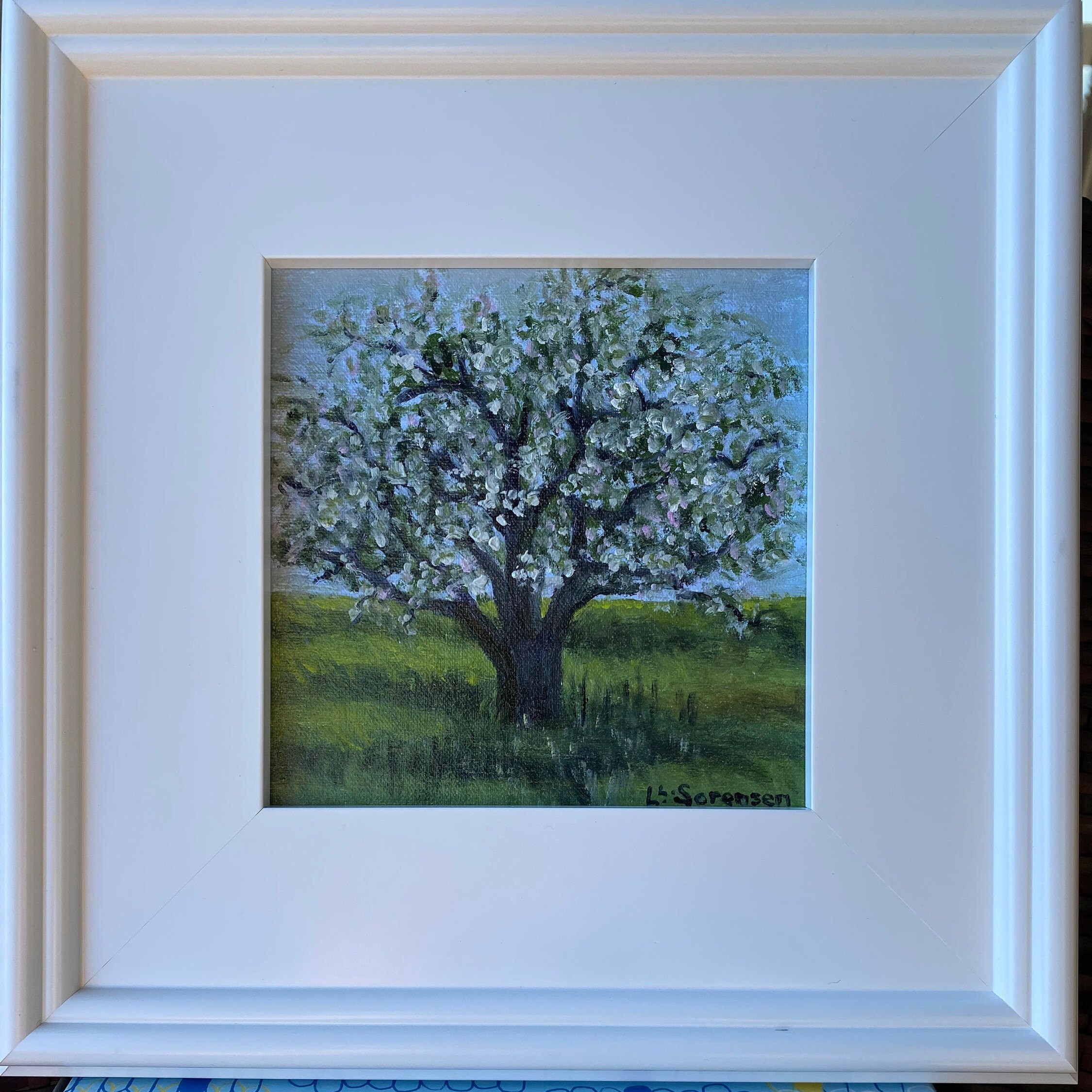 Very Big Old Apple Tree, Original Oil Painting 6”x6”, Bodega Bay Artist ...