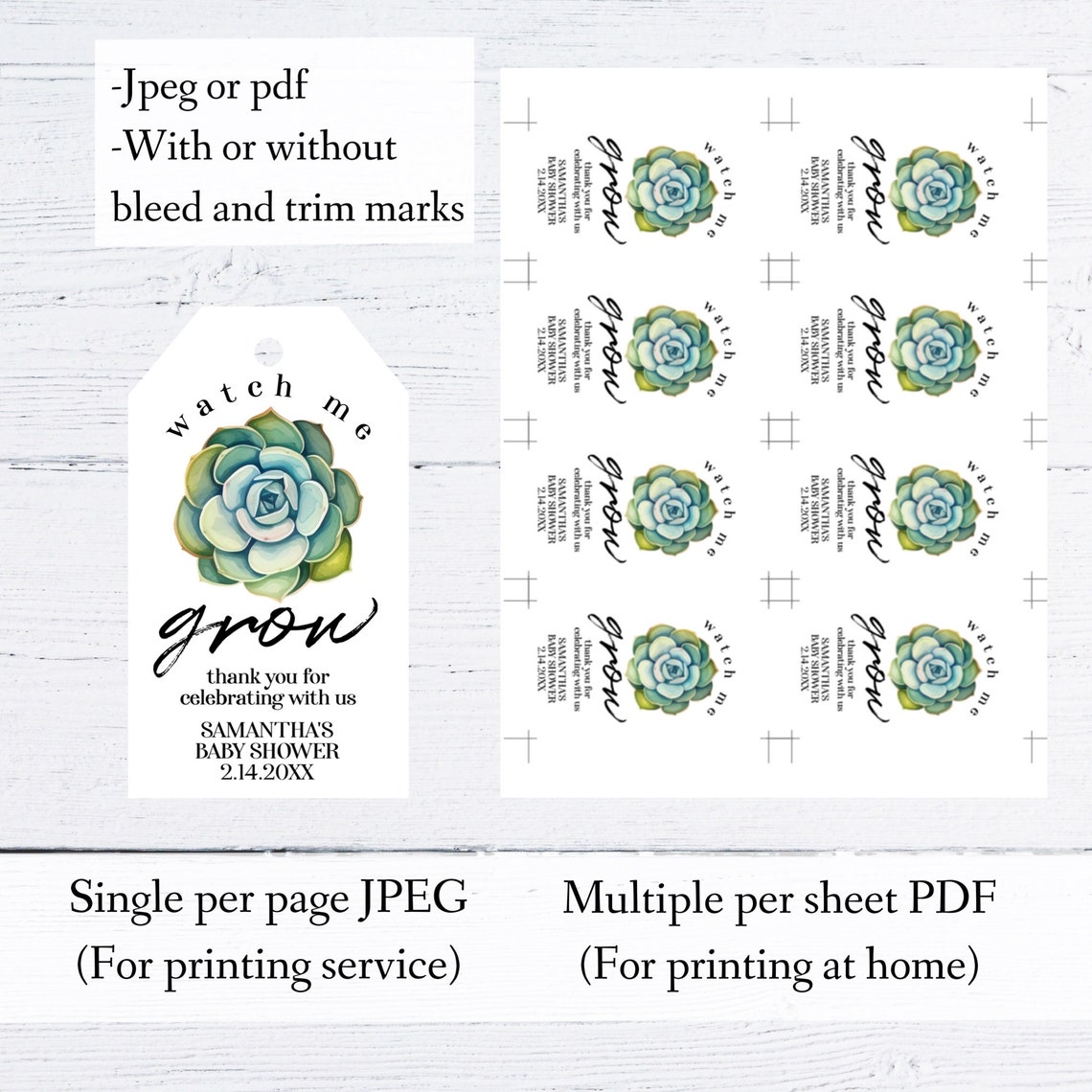 Editable Succulent Favor Tag Template: Shower Thank You Tags - Etsy