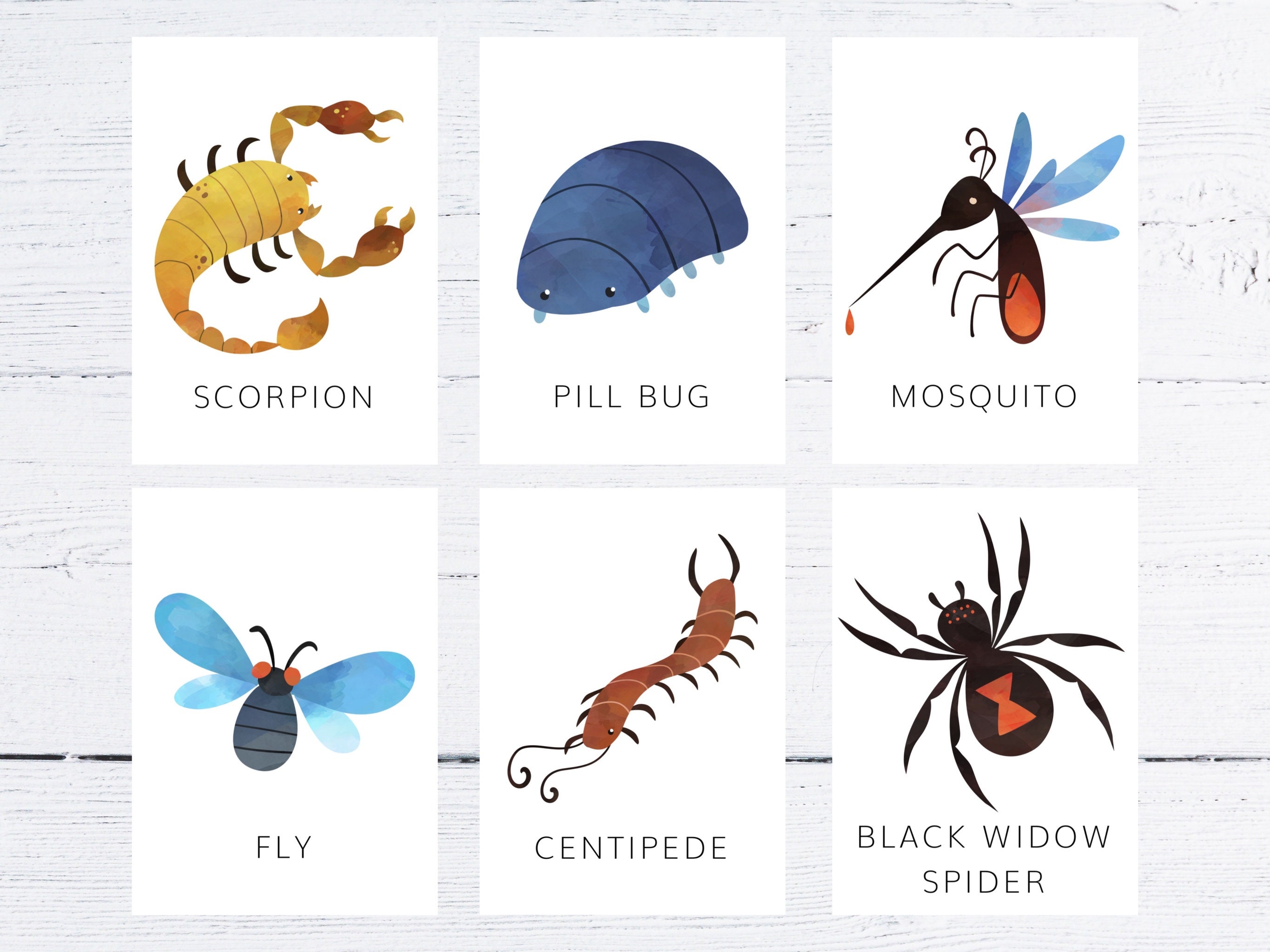 Watercolor Bugs Flash Cards: Printable Insect Learning Cards (digital ...