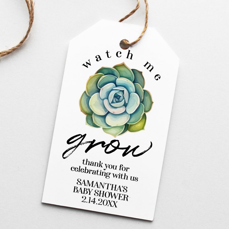 Succulent Favors - Etsy