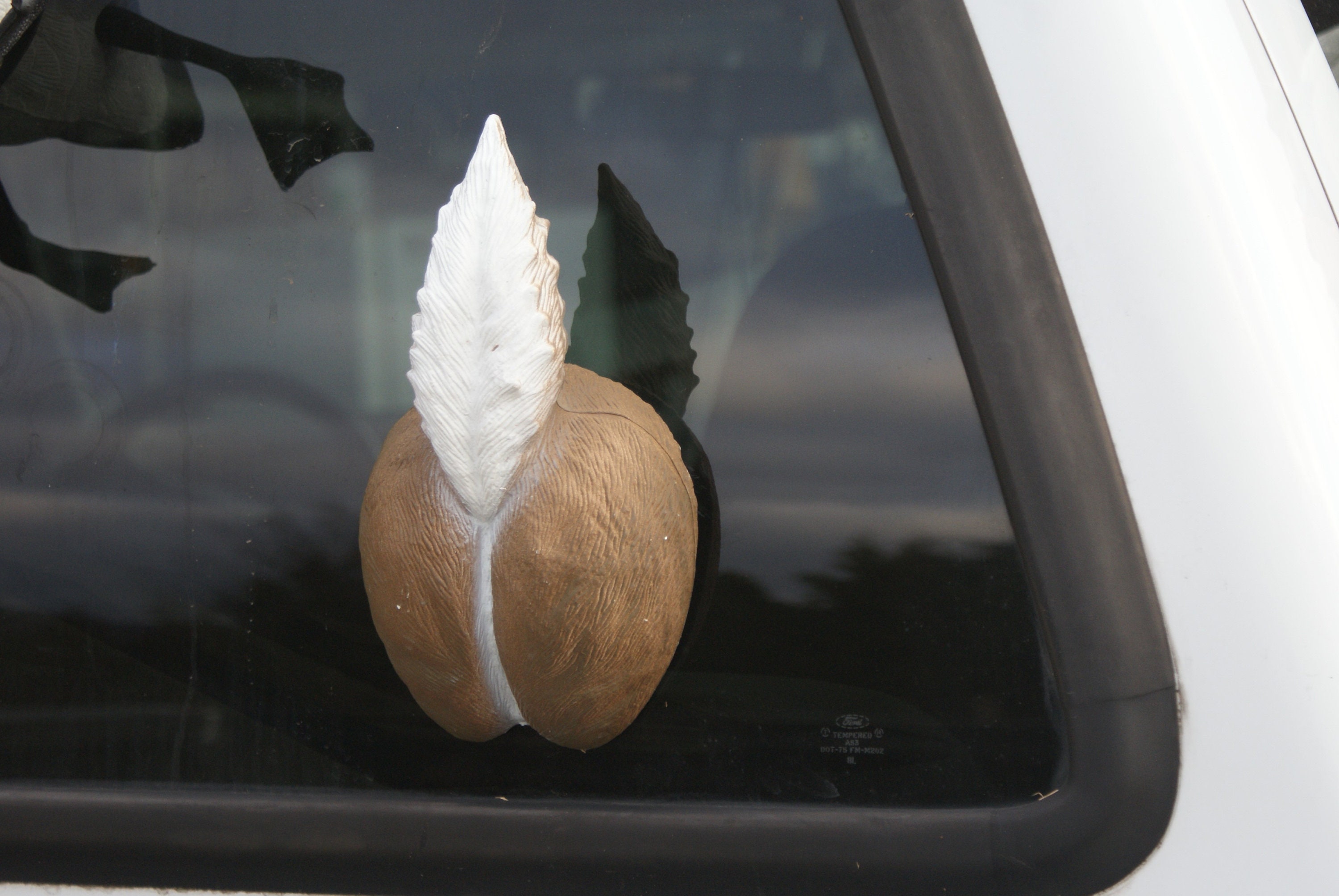 ORIGINAL DEER BUTT - Etsy