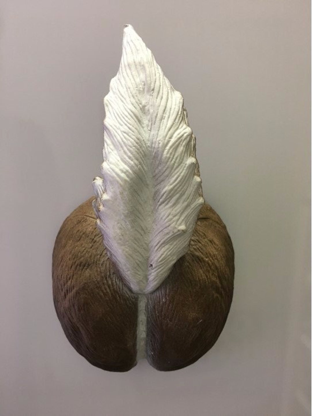 ORIGINAL DEER BUTT - Etsy