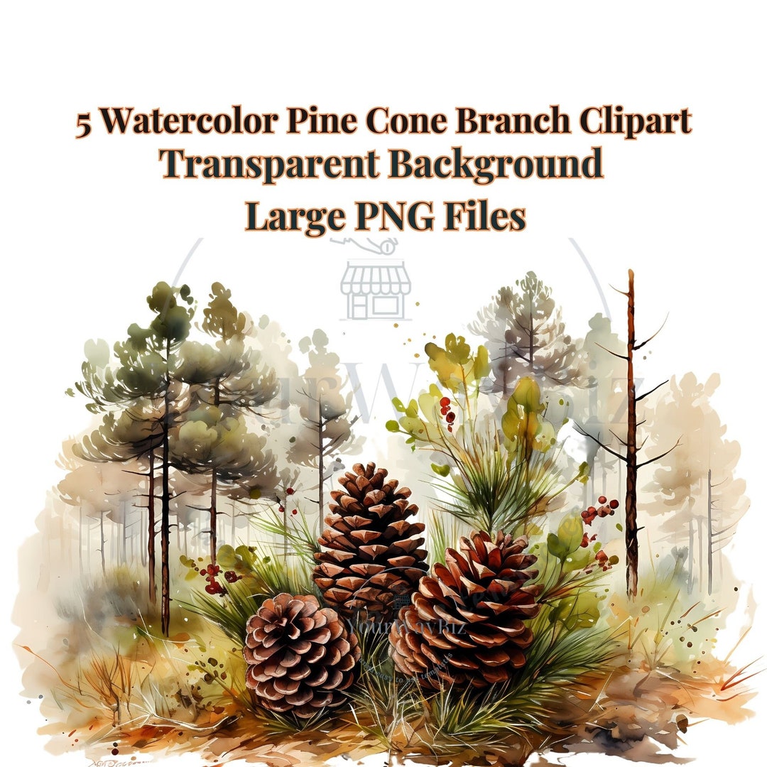 Watercolor Pine Cones Clipart Set of 5, Pine Bough Clipart, Pine Cone ...