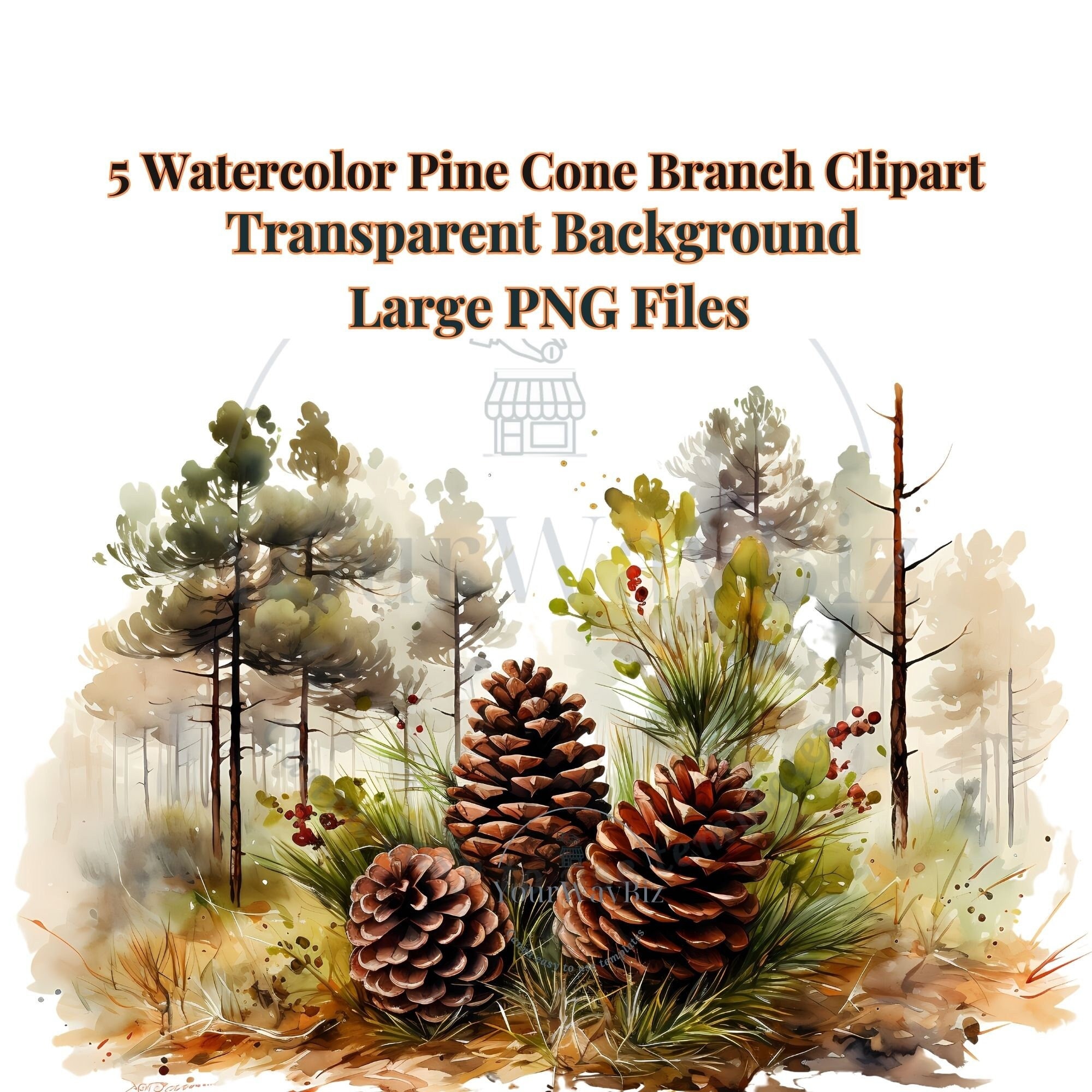 Watercolor Pine Cones Clipart Set of 5, Pine Bough Clipart, Pine Cone ...