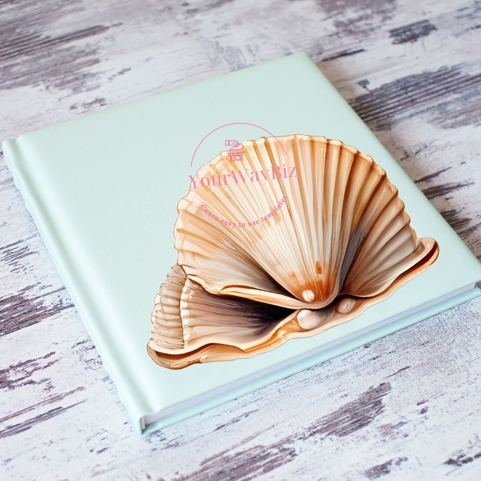 Watercolor Seashell Clipart, Beach Clipart, Ocean Clipart, Sea Clipart ...