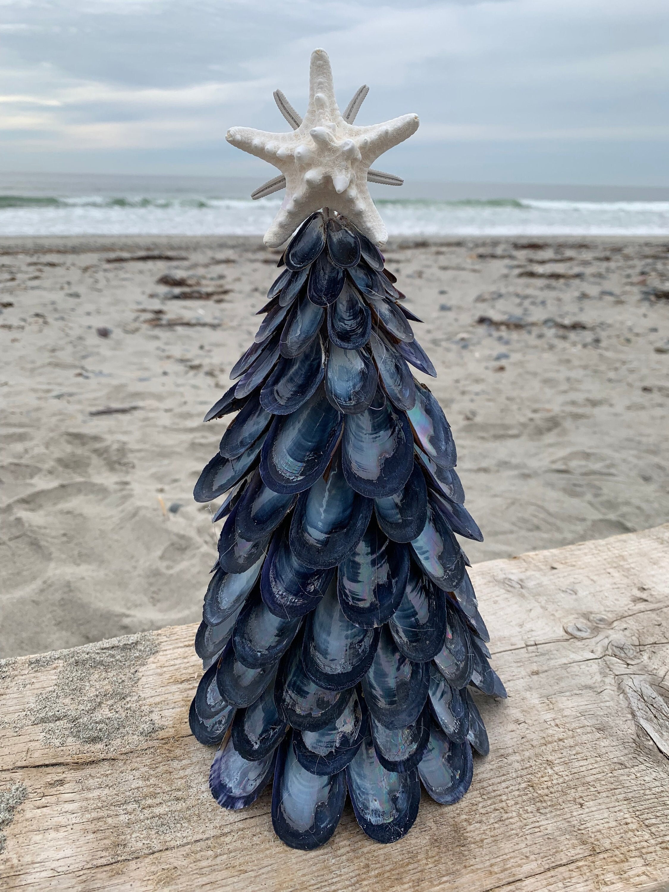 Mussel Shell Christmas Tree - Etsy