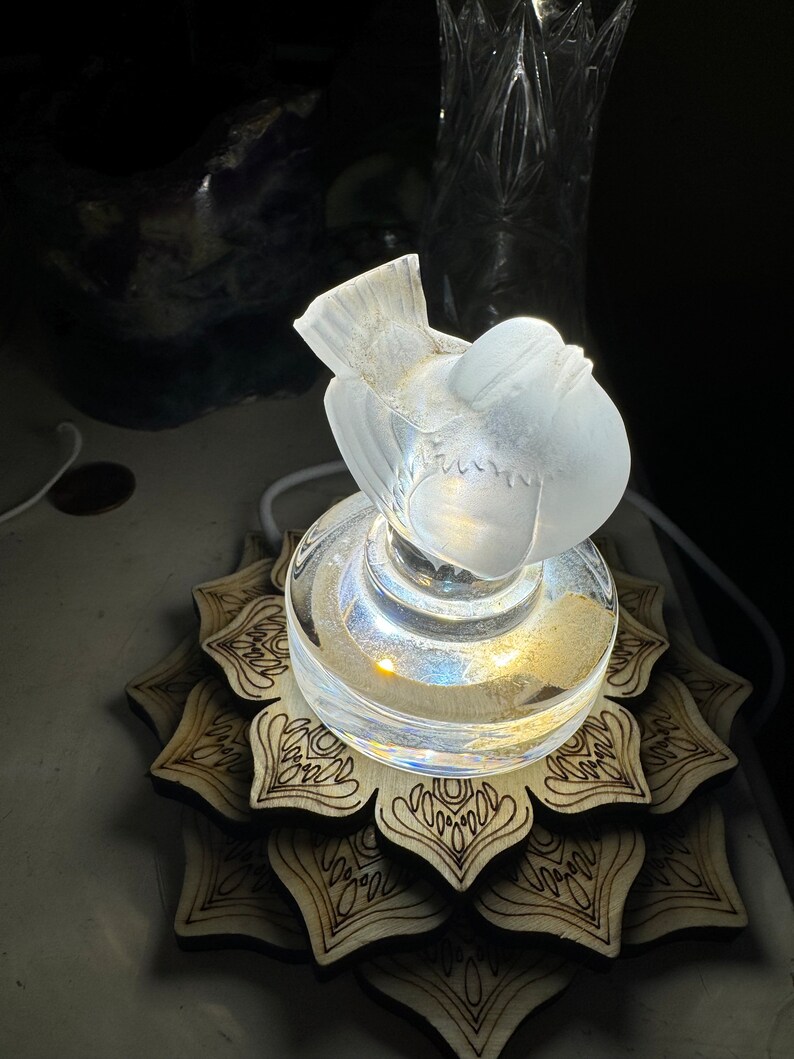 Lotus Display Base WHITE LIGHT. - Etsy