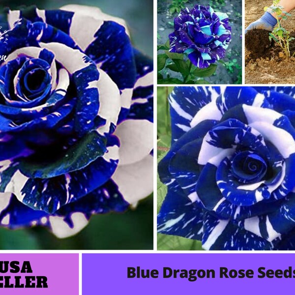 Rare Vegetable Seeds - Etsy