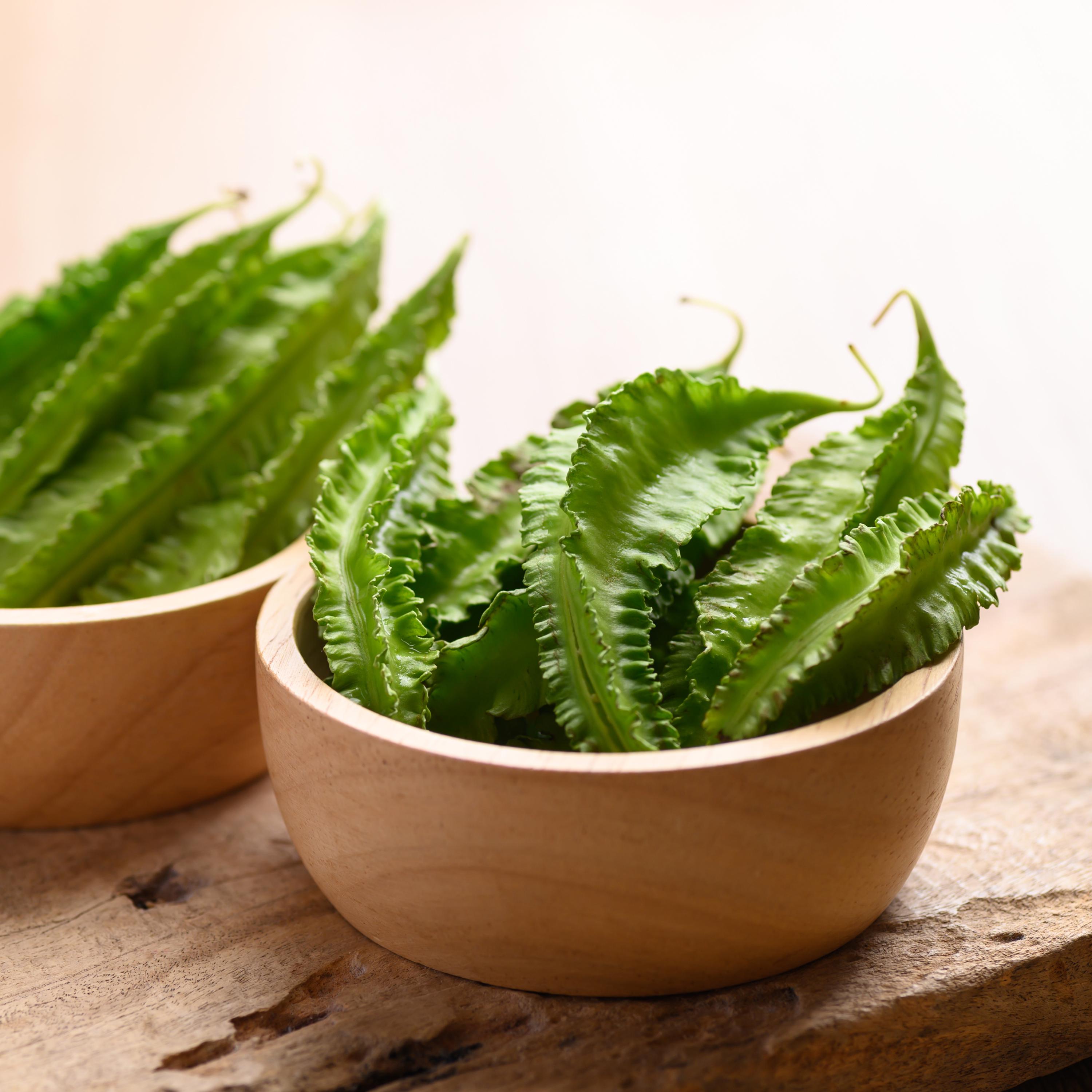 Winged Bean Seeds – Four-angled Bean – Fast Growing – Heirloom ...