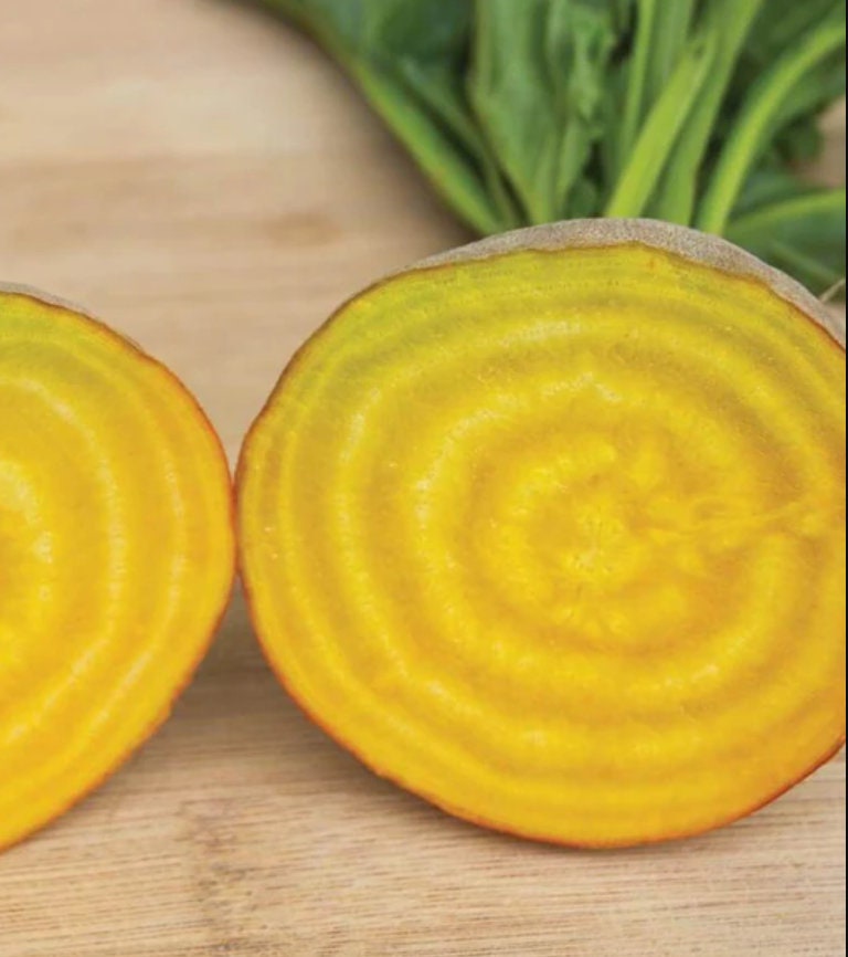 30 Seeds Touchstone Gold Beet Seeds Authentic Seeds - Etsy