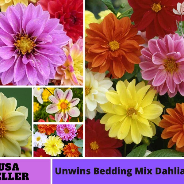 Dahlia Bedding - Etsy