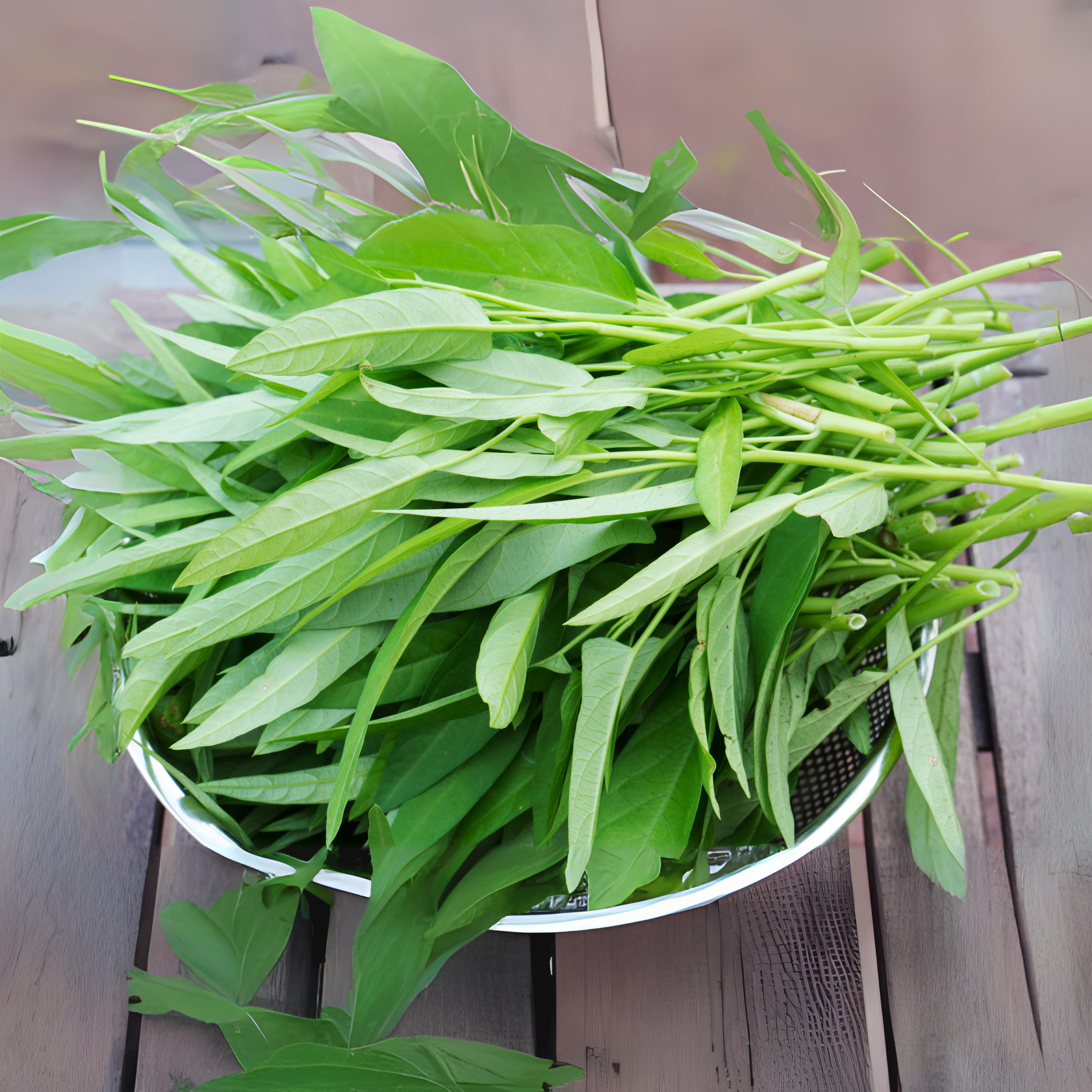Upland Water Spinach Seeds – Ong Choy – Kangkong – Easy to Grow – Heat ...