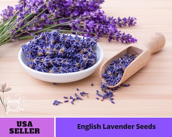 10 Rare Seeds Eden's Perfume Peony Seeds perennial authentic flowers ...