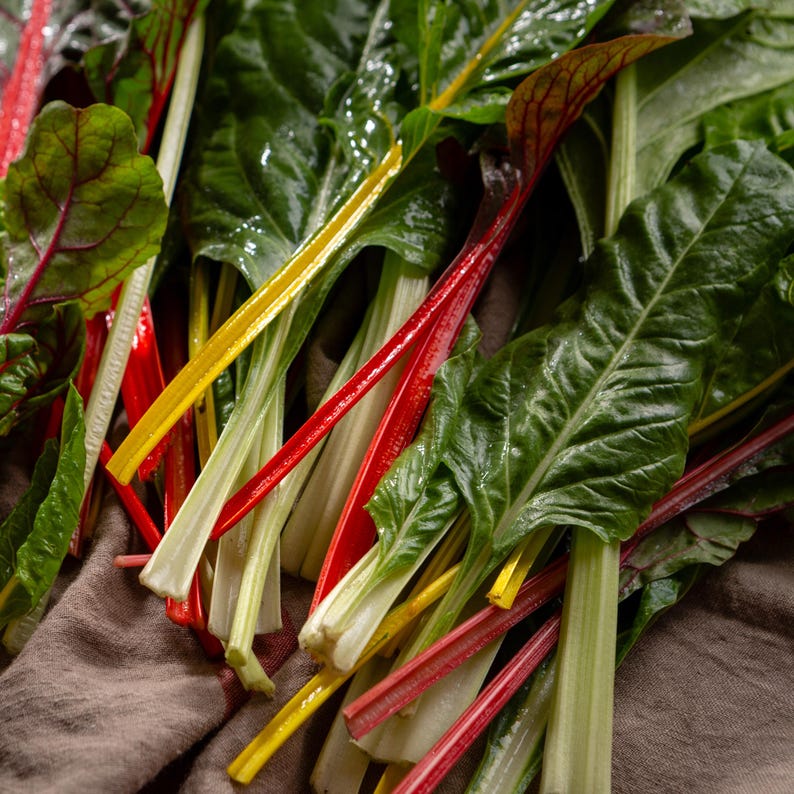 Swiss Chard - Rainbow Mixture Seeds - Cold Resistant - Fast Growing ...