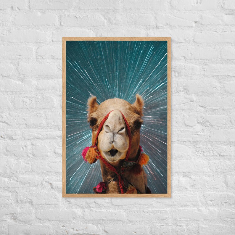 Camel Poster Premium Matte Vertical Posters Home Décor - Etsy