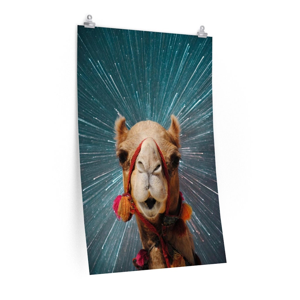 Camel Poster, Premium Matte Vertical Posters, Home Décor, Office, Dorm ...