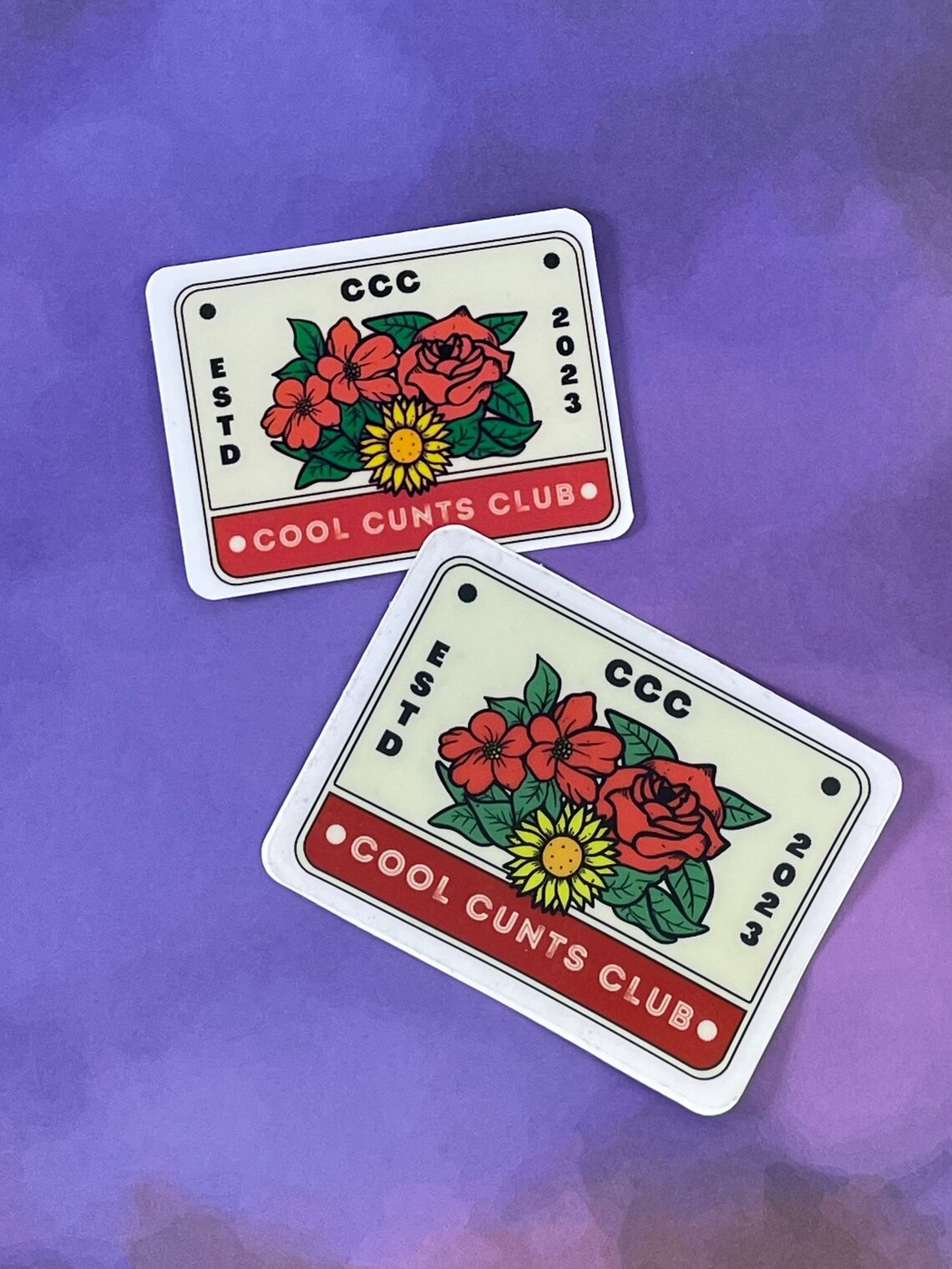 CCC Sticker Cool Cnts Club Sticker Adult Humor Adults Only Funny ...