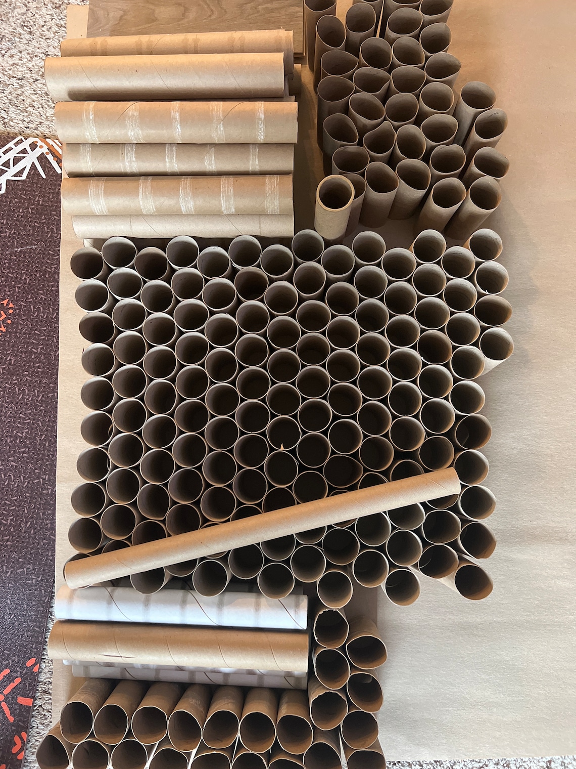 Toilet Paper Cores - Etsy