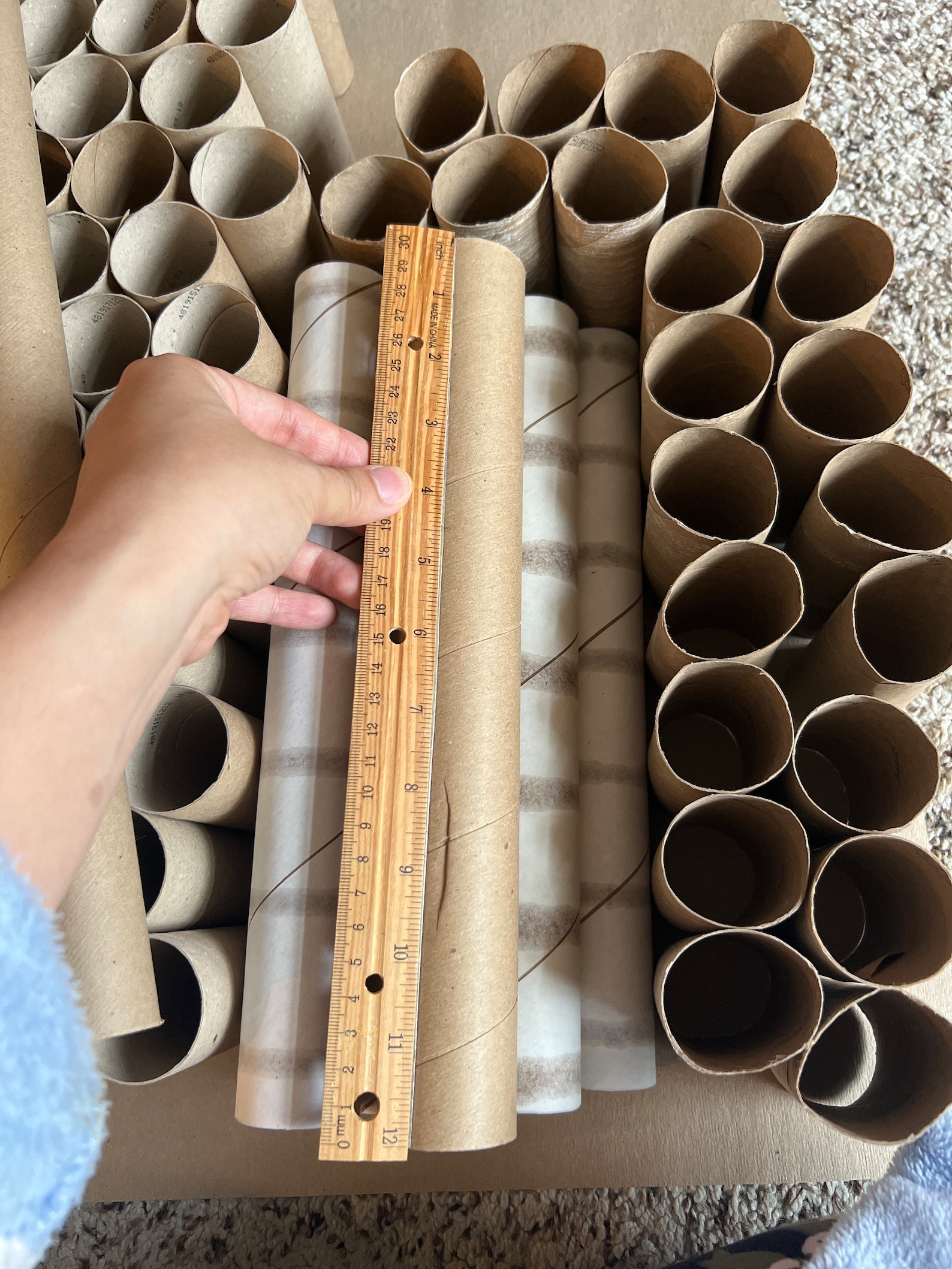 Toilet Paper Cores - Etsy