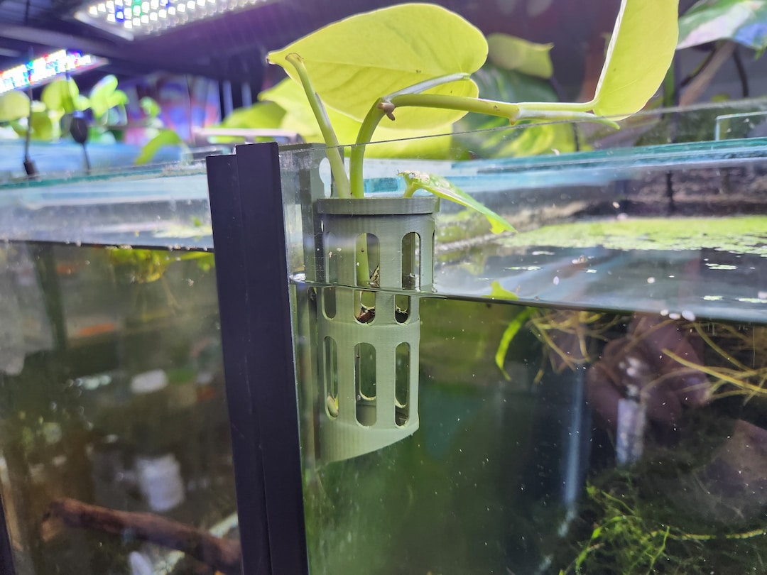 Cutting Keeper - Keep Cuttings & Plants in Your Aquarium - Etsy