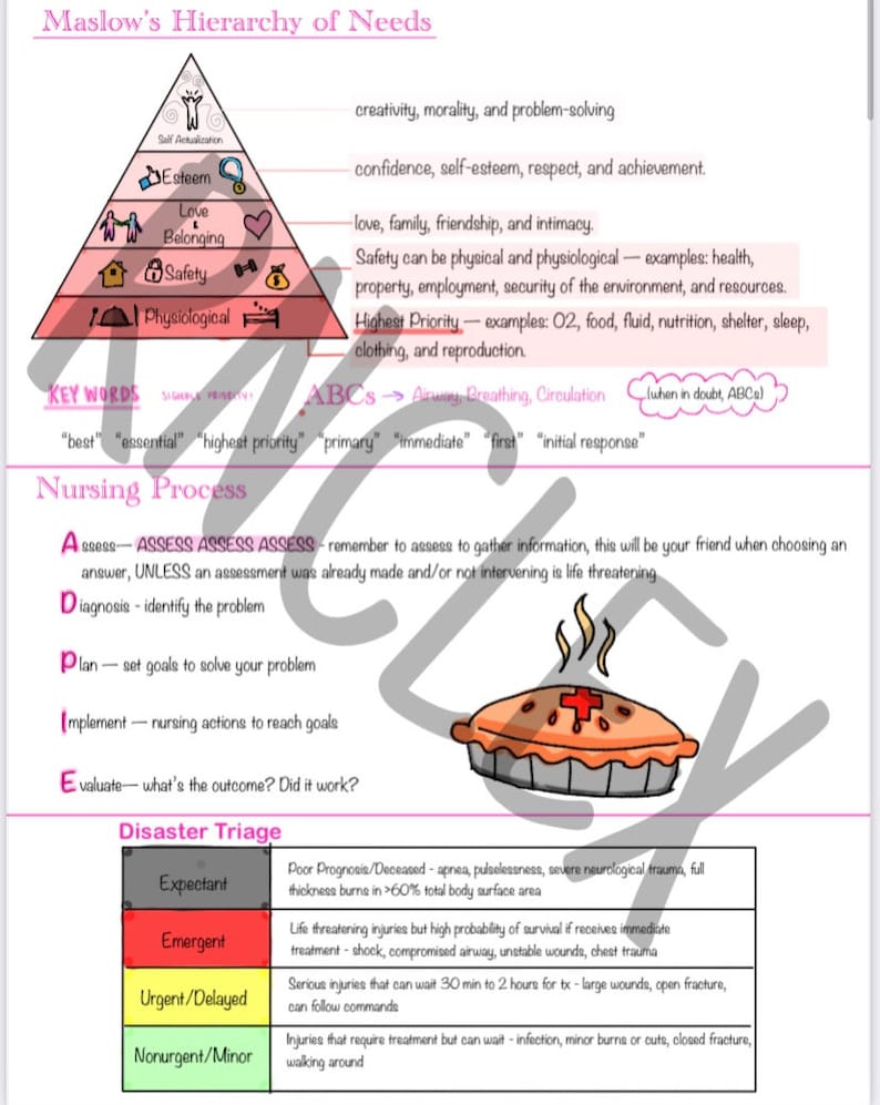 NCLEX Tips and Tricks - Prioritization and Delegation Notes - Etsy