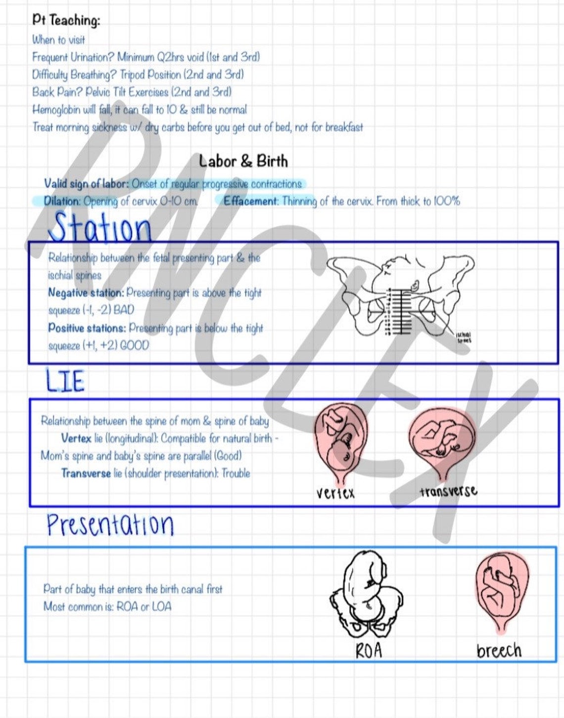 Mark Klimek NCLEX Lectures 1-12 Notes - Etsy Mark Klimek NCLEX Lectures 1-12 Notes - Etsy