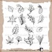 Procreate Leaves Procreate Leaf Stamp Procreate Botanical Procreate Fall Procreate Brushes ...