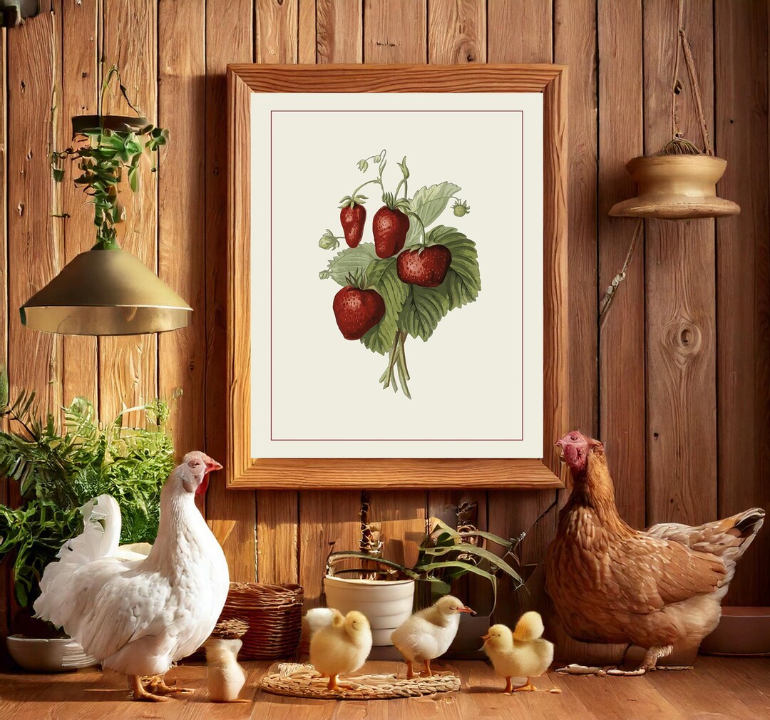 Strawberry Print-strawberry Decor-farmhouse Prints-strawberry Plants ...