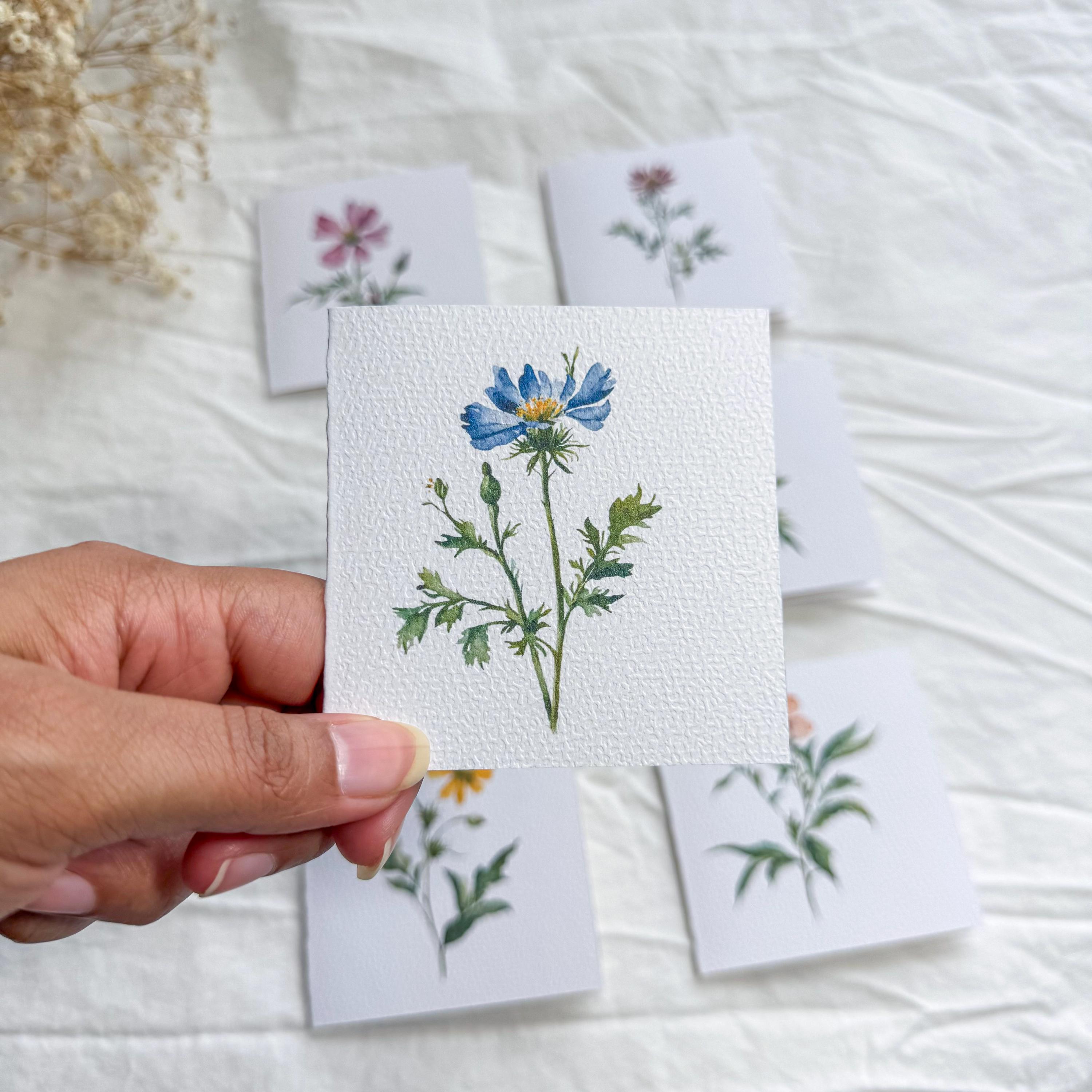 6 Mini Wildflower Cards Set With Envelopes, Floral Mini Cards Set, Tiny ...