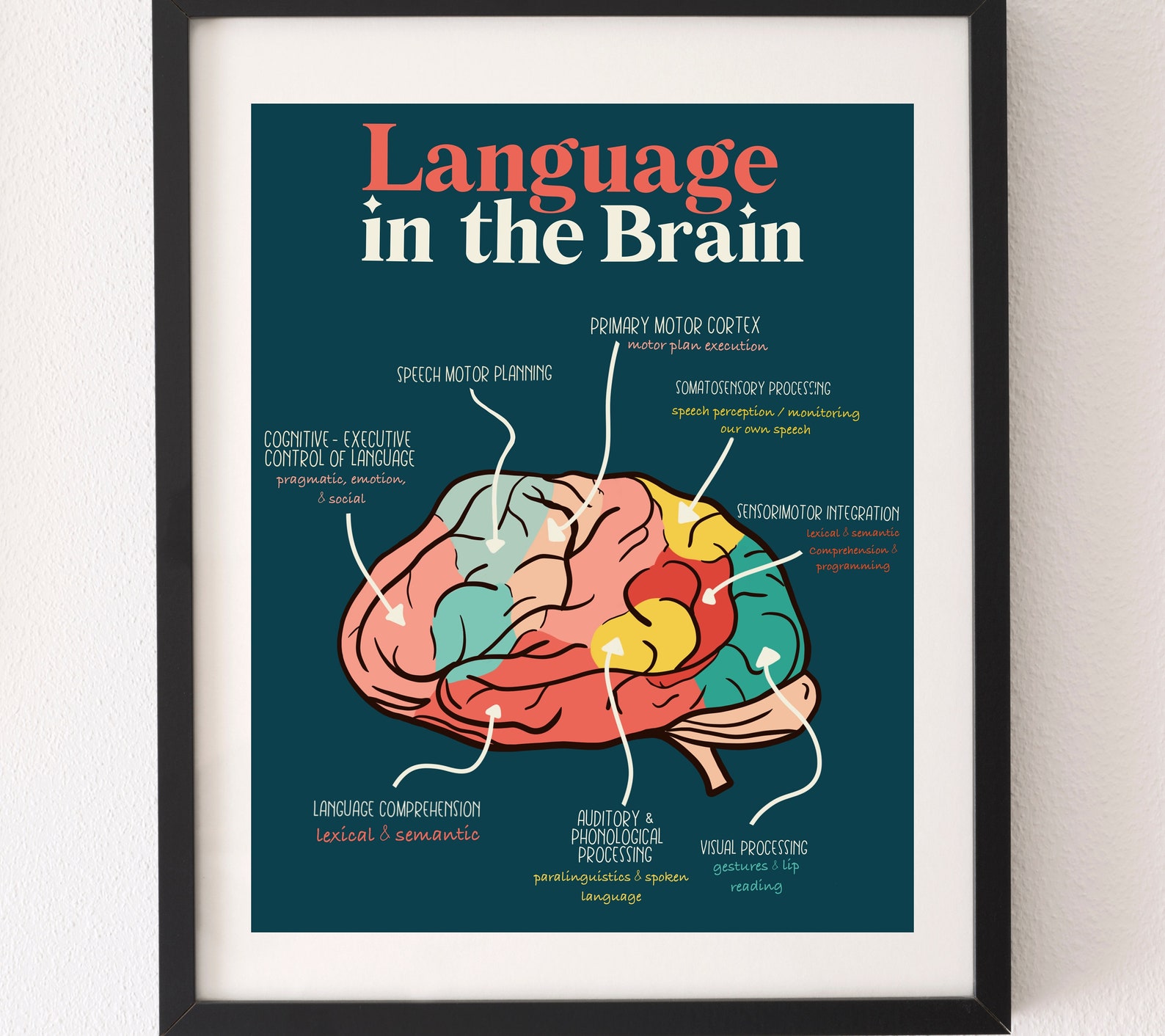 Printable Language Poster, Brain Anatomy for Language, Speech Therapy ...