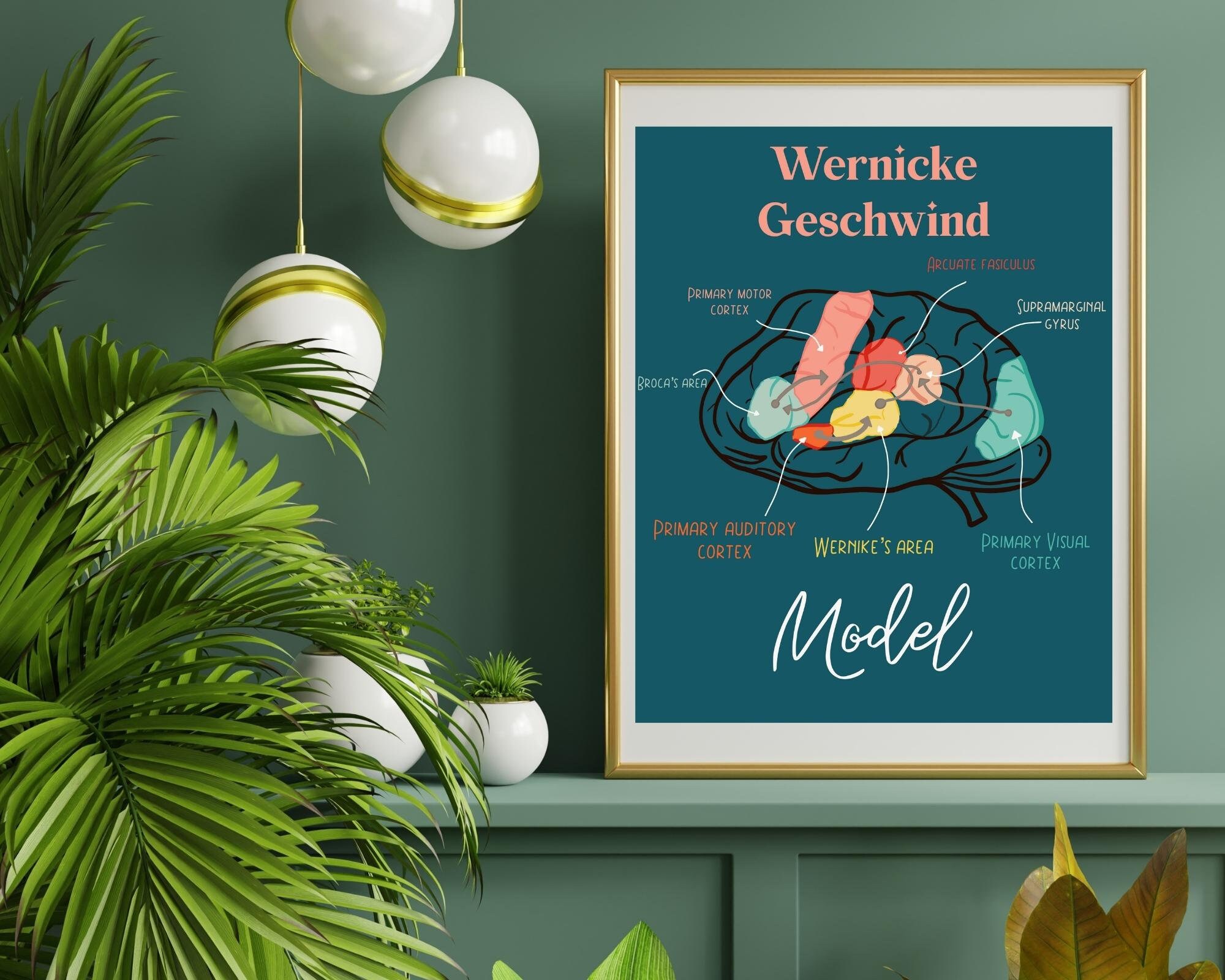 Printable Poster Speech Therapy Office Language Anatomy Art - Etsy