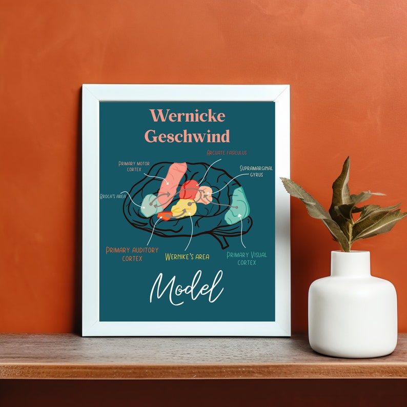 Printable Poster Speech Therapy Office, Language Anatomy Art for SLP ...