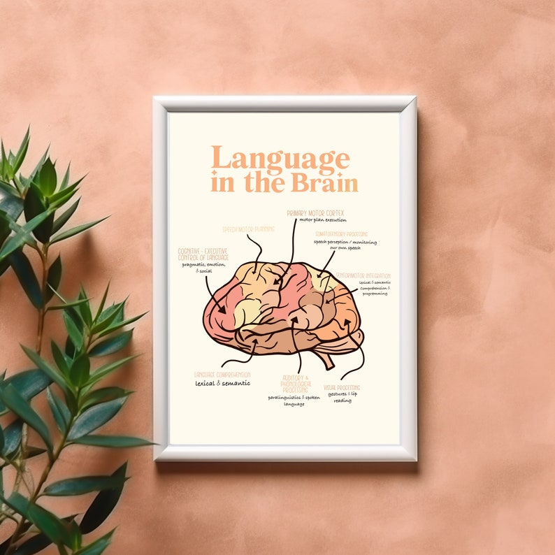 Printable Language Poster, Brain Anatomy for Language, Speech Therapy ...