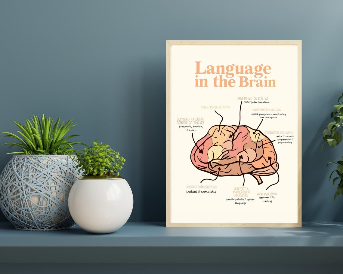 Printable Language Poster Brain Anatomy for Language Speech - Etsy
