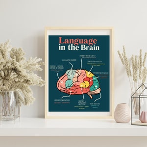 Printable Language Poster Brain Anatomy for Language Speech - Etsy