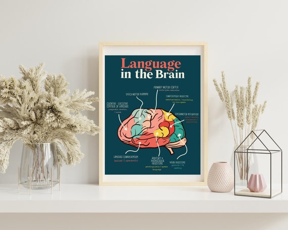 Printable Language Poster Brain Anatomy for Language Speech - Etsy Canada