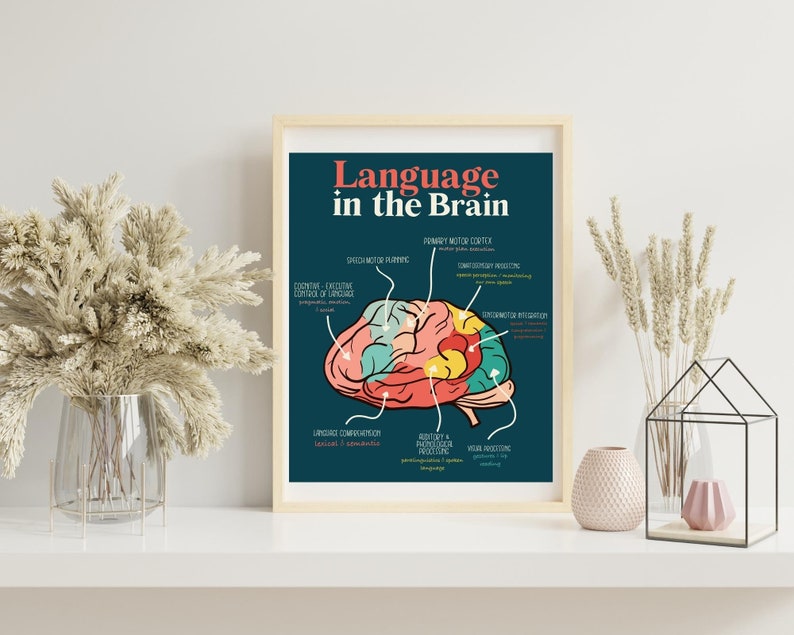 Printable Language Poster Brain Anatomy for Language Speech - Etsy